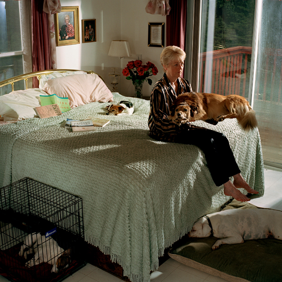 Jennifer Karady | Animal Project